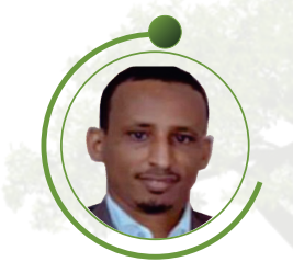 ALI IBRAHIM (PhD) – Acacia Dialogue Center